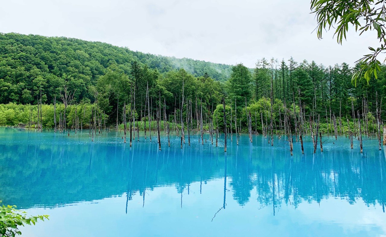 Aoi Ike Pond: Hokkaido's "Unintentionally" Human-Made Blue Pond